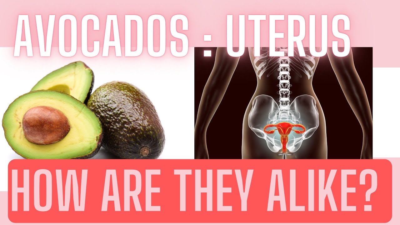 The Health Benefits of Avocados & The Female Reproductive System - YouTube