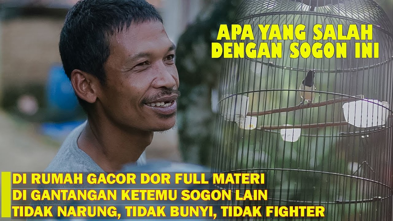 SOLUSI Sogon Tidak Mau Narung Dengan Sogon Padahal Dirumah Gacor Dor ...