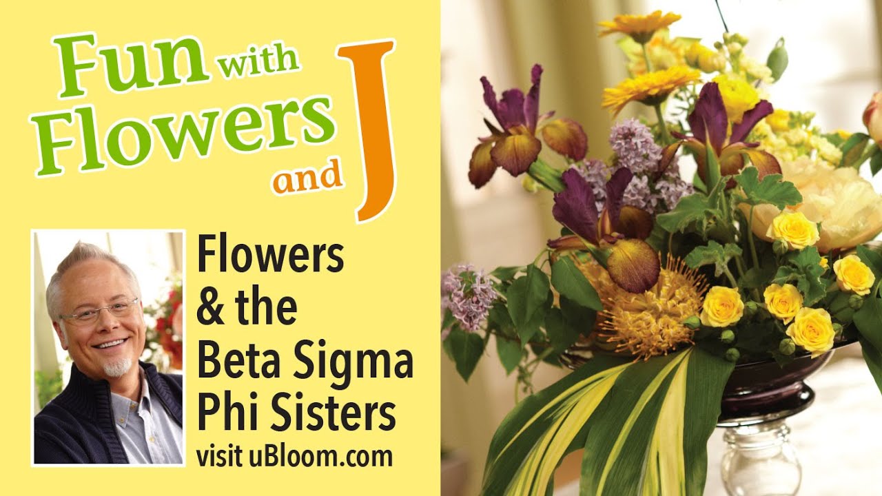 Beta Sigma Phi Sorority Sisters and Flowers! - YouTube