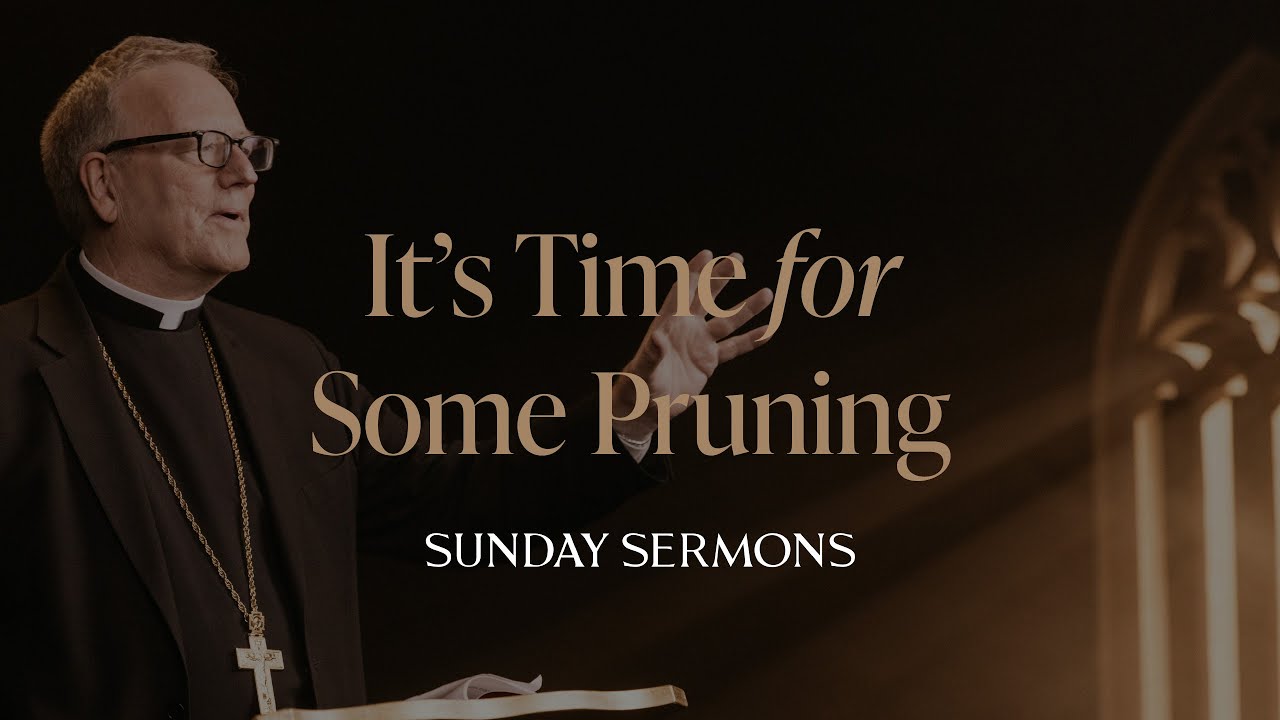 It’s Time for Some Pruning - Bishop Barron's Sunday Sermon - YouTube