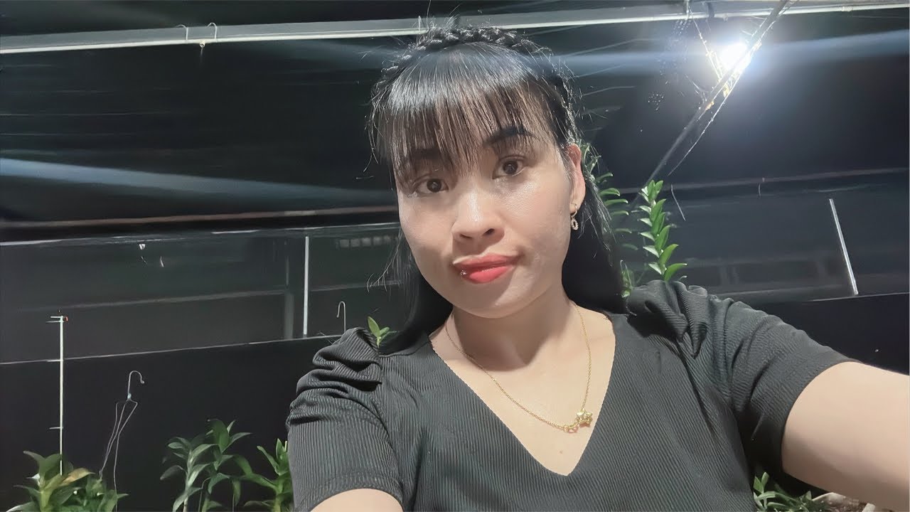 Live trưa 4/7, Nhiều cây nụ giá êm - YouTube