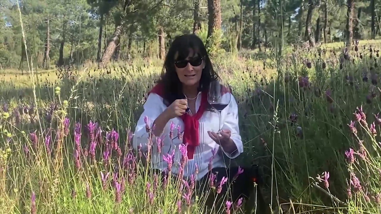 FINCA AZAYA, el vino de Finca de Bodegas Valduero - YouTube