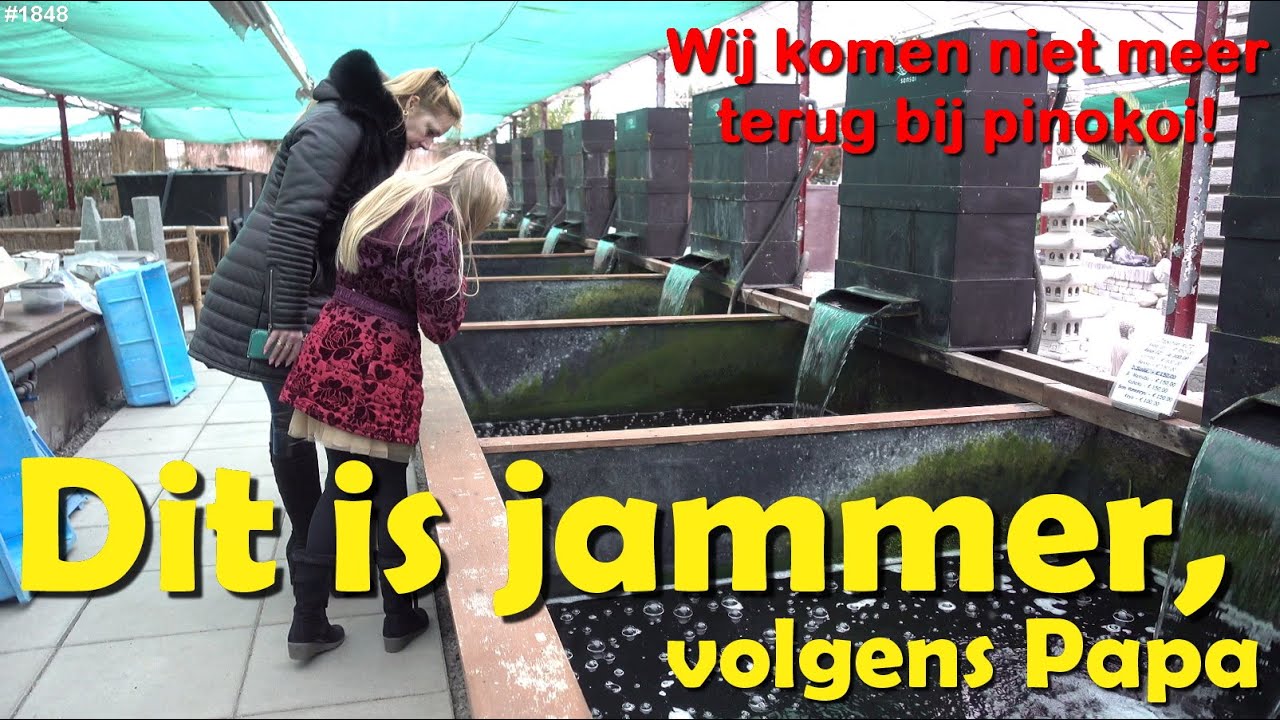 Papa was niet BLIJ met wat hij zag bij PINOKOI! #1848 - YouTube
