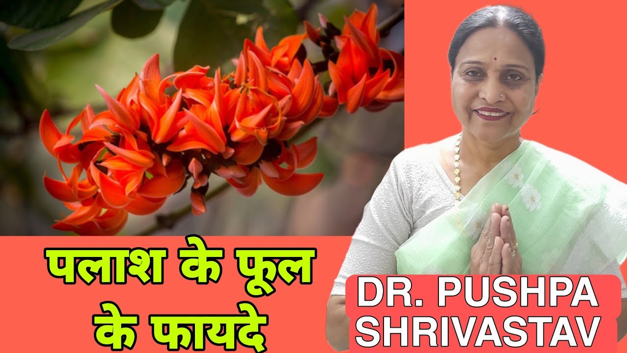 palash flower usage | palash flower benefits | ayurvedic medicine best ...