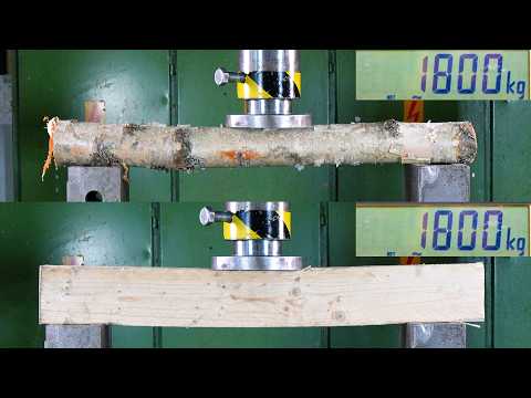 Raw Tree vs Processed Wood – Hydraulic Press Test