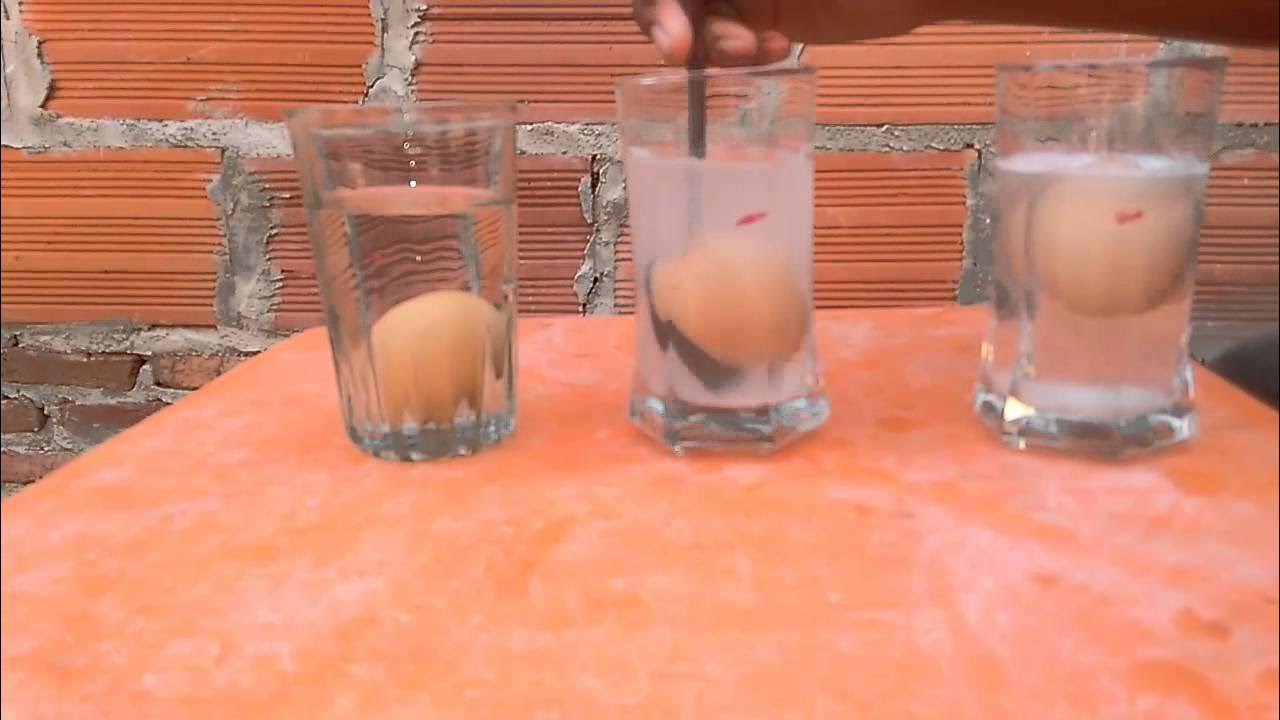 Demostraciòn De Densidad y flotabilidad - YouTube