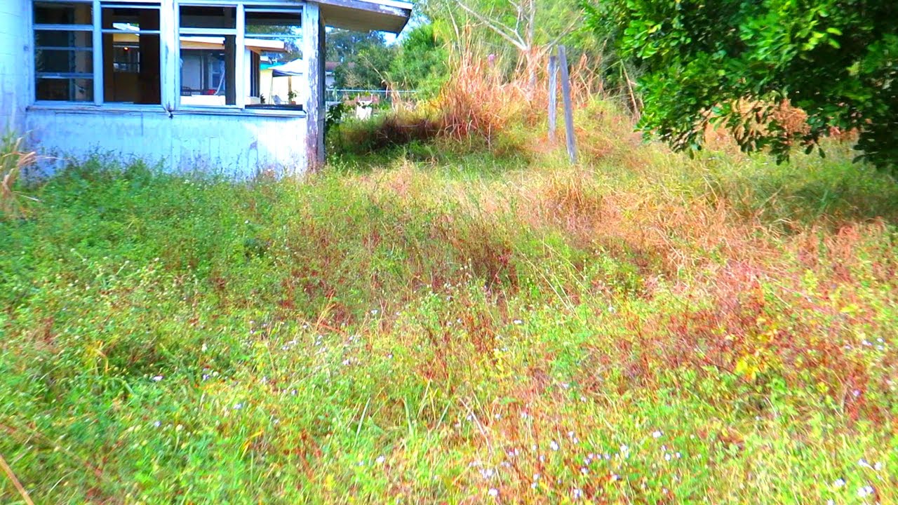 WEED Eating TALL Grass for 20 minutes straight volunteer work time ...