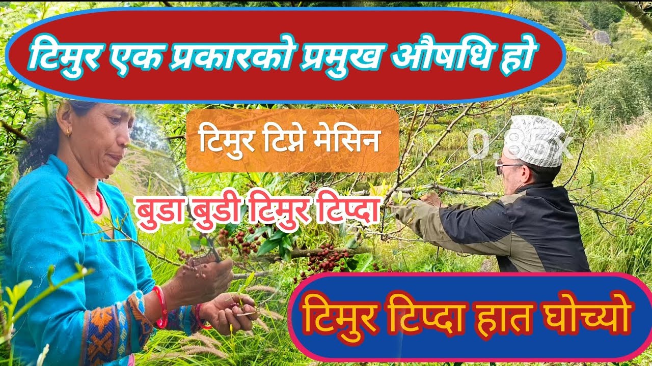 There is Timur Tipi and some of the wonders of Timur#Timur ko aak Naya ...