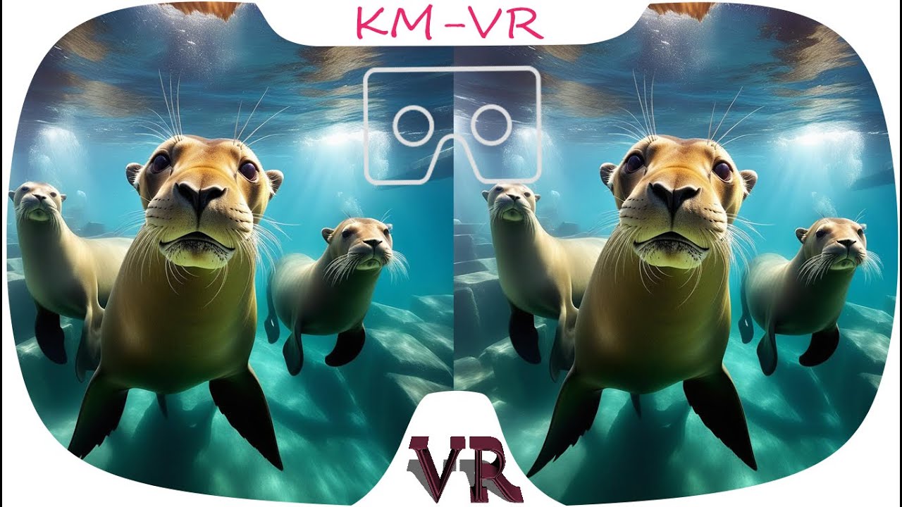 3D VR VIDEO 567 4K VR Video - YouTube