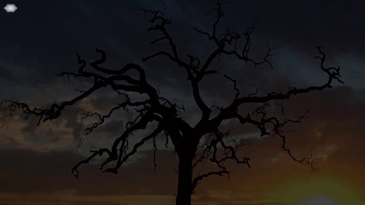 RACHAEL INTRODUCES HER MOM TAMMY TO GREG Charley 6 - YouTube