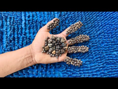 Remove Ticks A man cleaning strange ticks on his palm and finger #49 ...