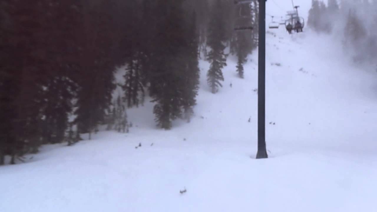 Utah Ski resort caught in major wind storm causing a tree to fall - YouTube
