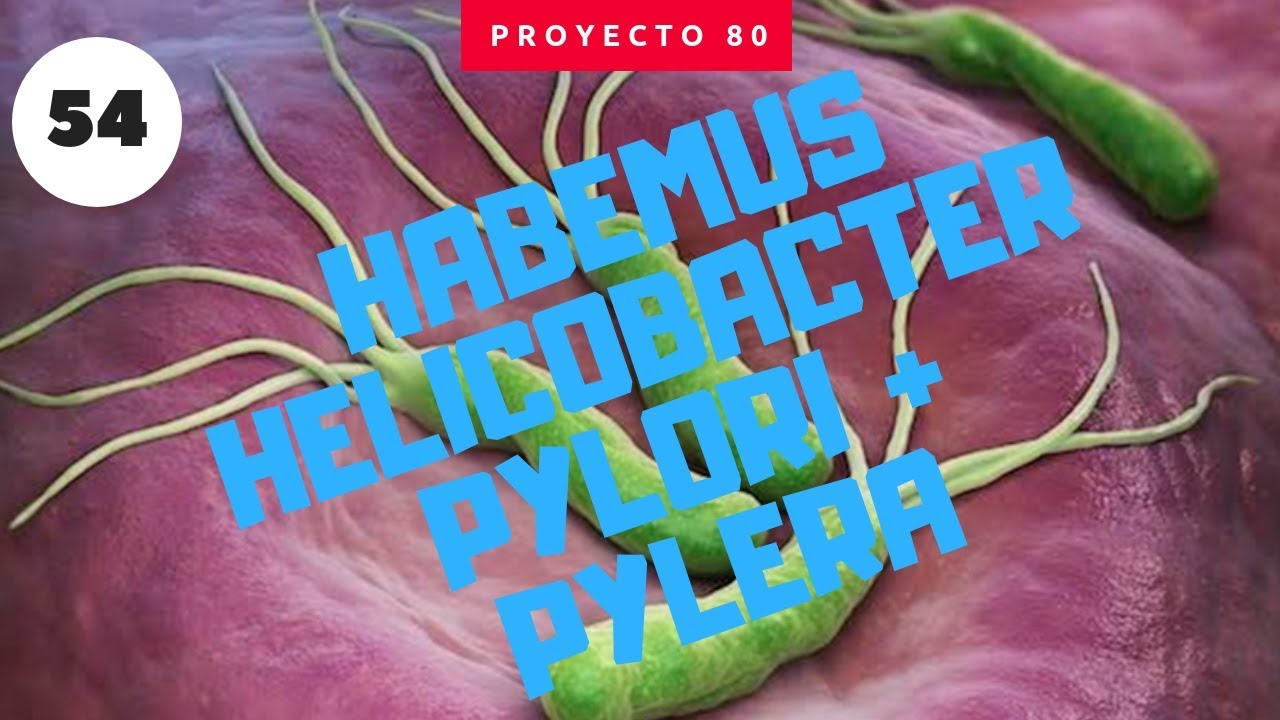 Habemus Helicobacter Pylori + Pylera | VLOG #54 | Proyecto 80 - YouTube