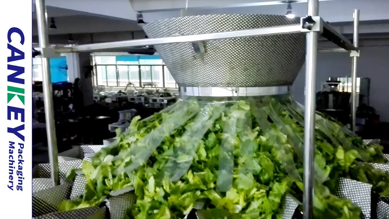 Vegetable Salad Packing Machine/Fresh Cut Vegetable Packaging Machine ...