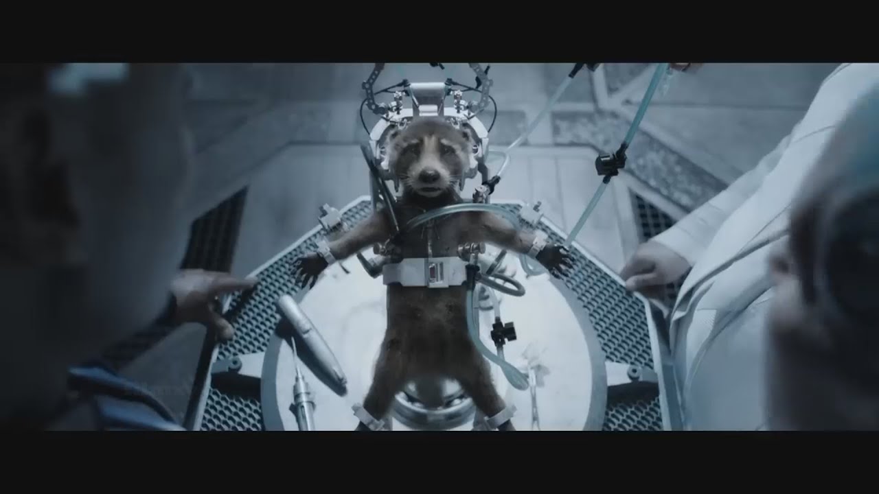 GOTG Vol 3 Opening Scene ( Baby Rocket Flashback) - Guardians 3 ...