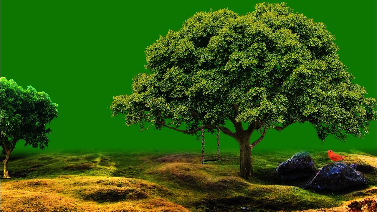 Nature Background Video / Background Video Effects hd / Green Screen ...