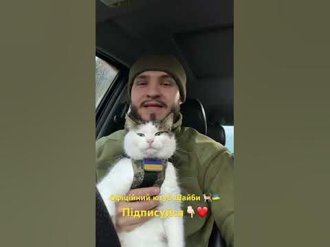 Офіційний ютуб канал кота Шайби 🐈🇺🇦 Підписуйся ️ - YouTube