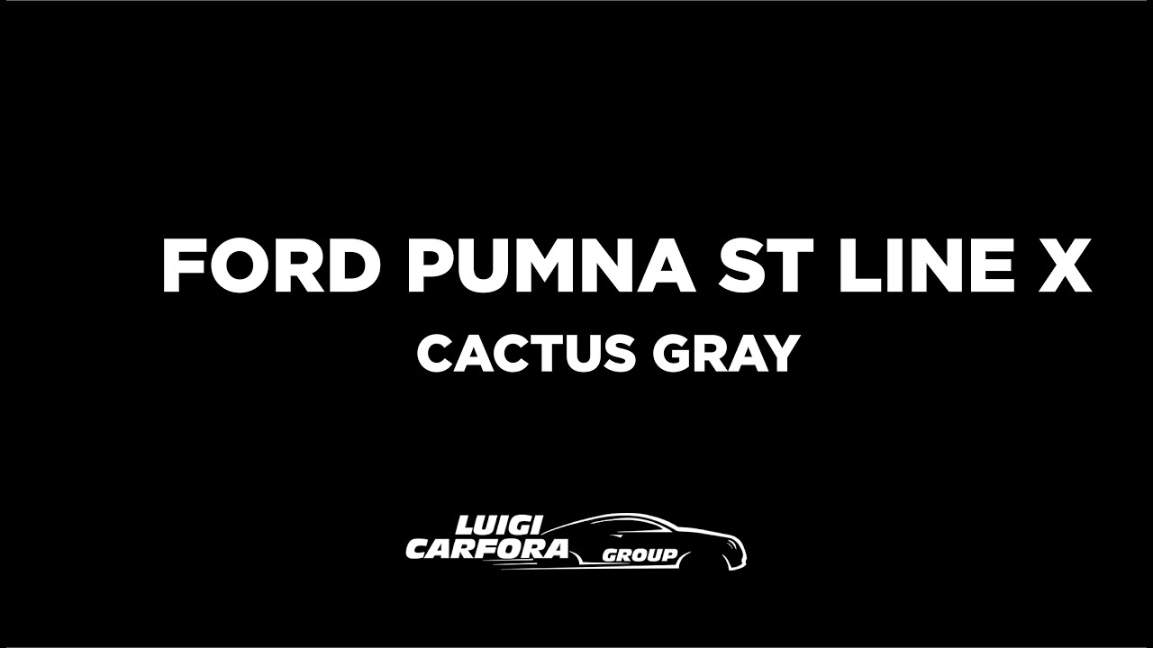 Ford Puma ST Line X Cactus Gray - YouTube