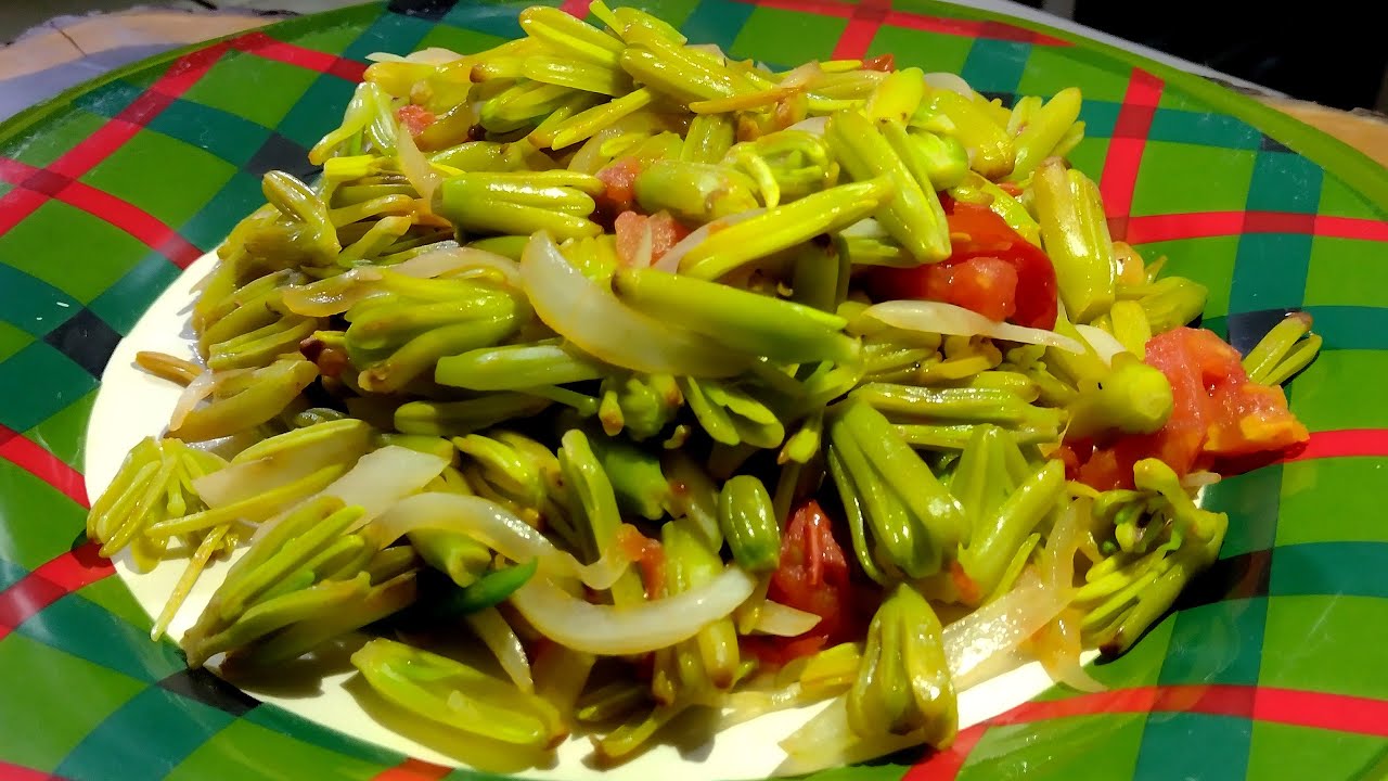 RICAS CACAYAS A LA MEXICANA, UN PLATILLO ORGANICO DE OAXACA. - YouTube