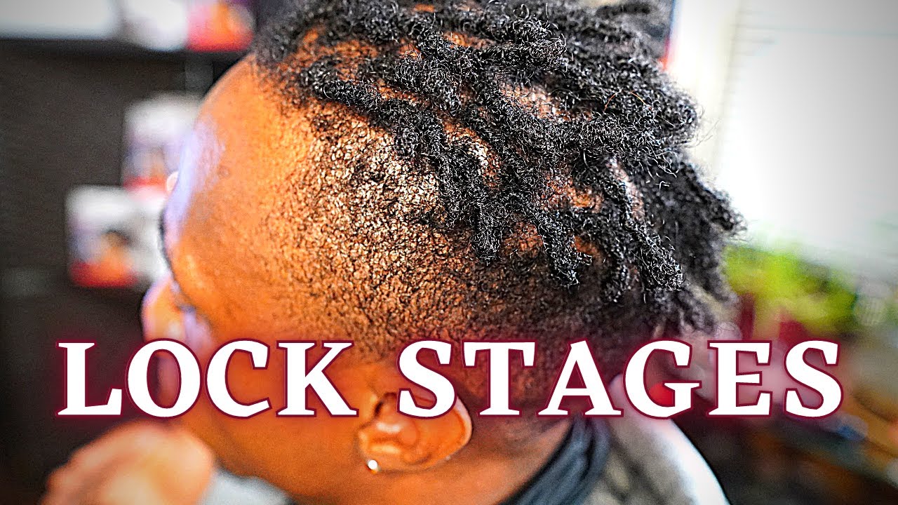 Lock Stages! | Sisterlocks, Traditional Locks & Microlocks ...