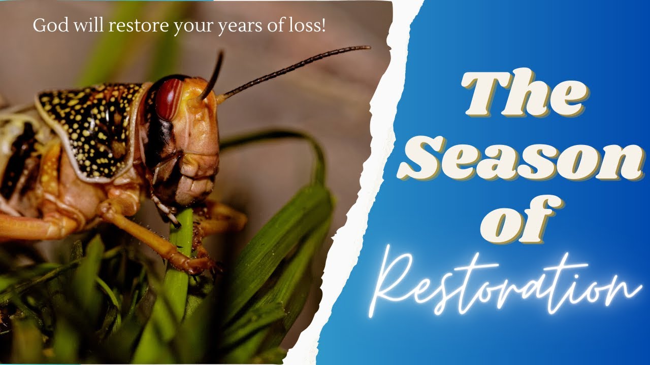 The Season of Restoration: God will restore everything you have lost ...