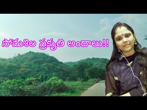 #somasilavlog# somasila view Point||Telangana tourism ||Rode side View ...