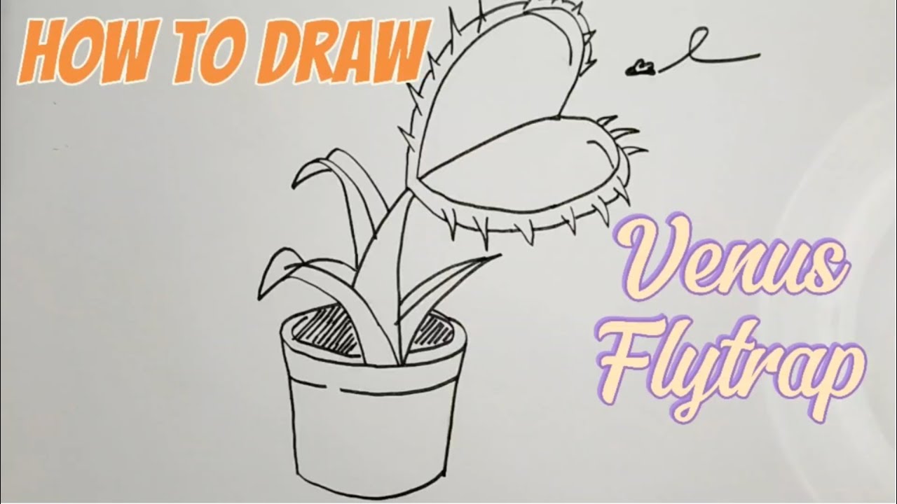 UPS!!! HOW TO DRAW VENUS FLYTRAP EASY - YouTube
