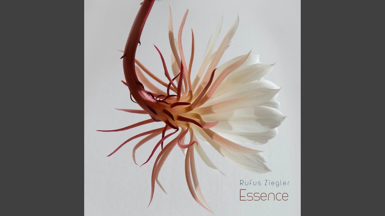 Essence - YouTube