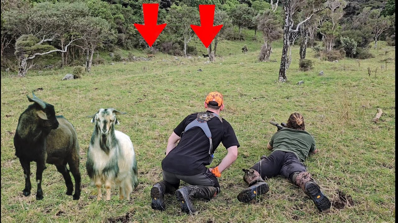Action-Packed Mukamuka Hunt in New Zealand's Wilderness ⛰️🐐 - YouTube
