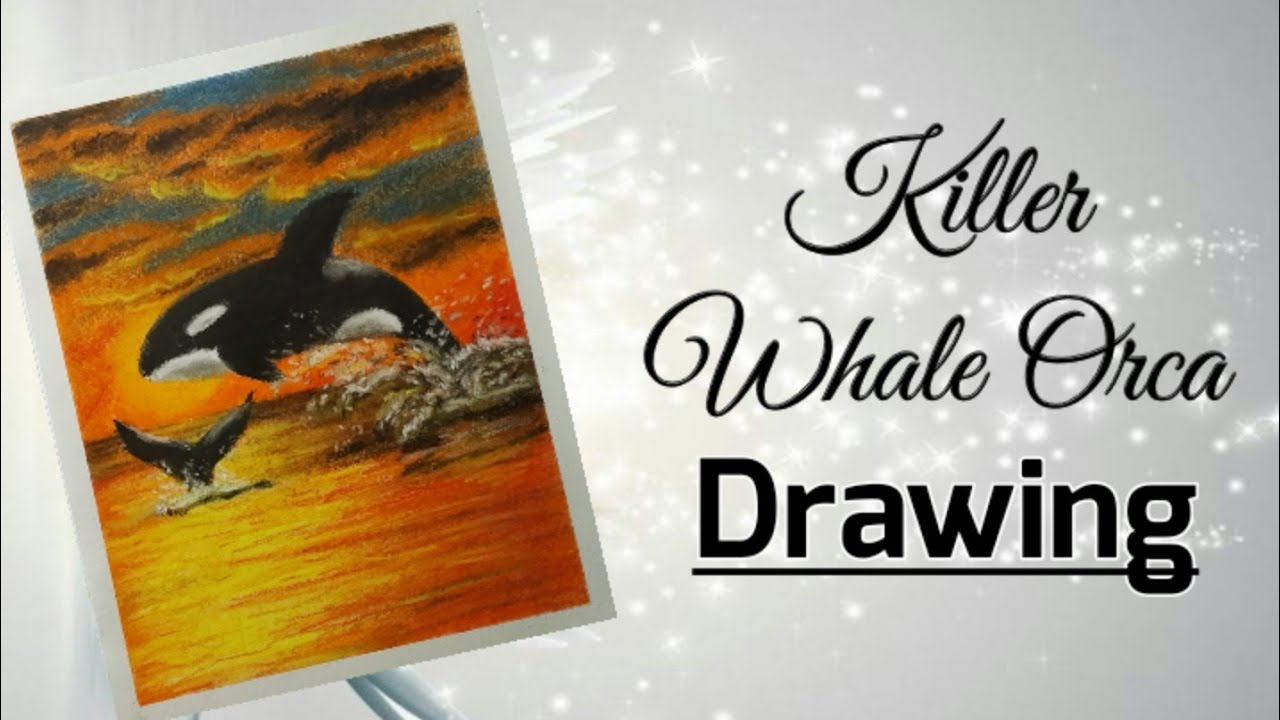 Killer Whale Orca Drawing || Killer Whale Drawing || Soft Pastel ...