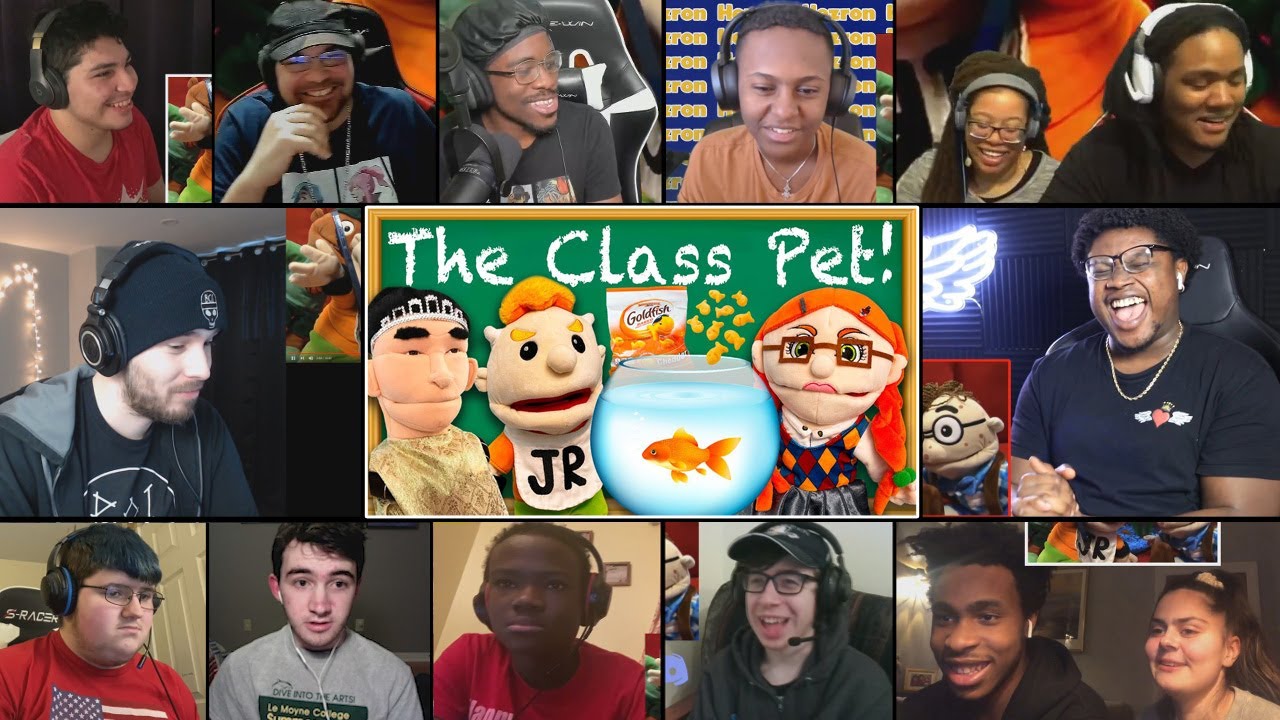 sml-movie-the-class-pet-reaction-mash-up-16-youtube