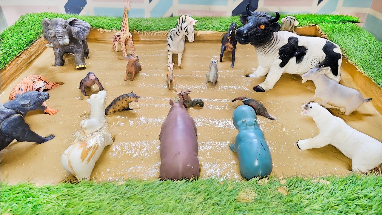Embarking on an Adventure with Indian Animals and Pet Animals in the ...