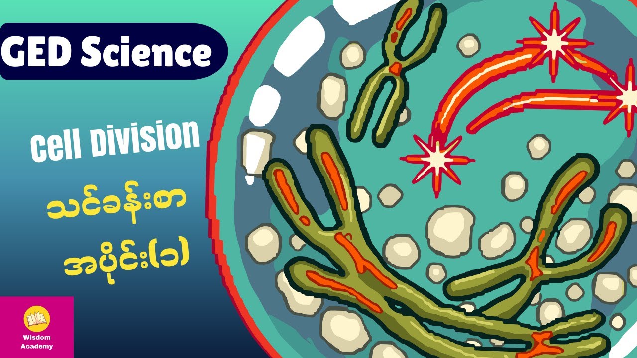 GED Science- Cell Division (Part1) - YouTube