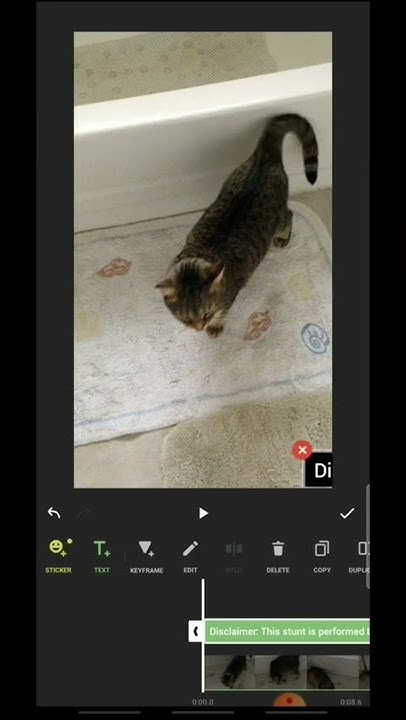 Add Scrolling Text with Inshot App - YouTube