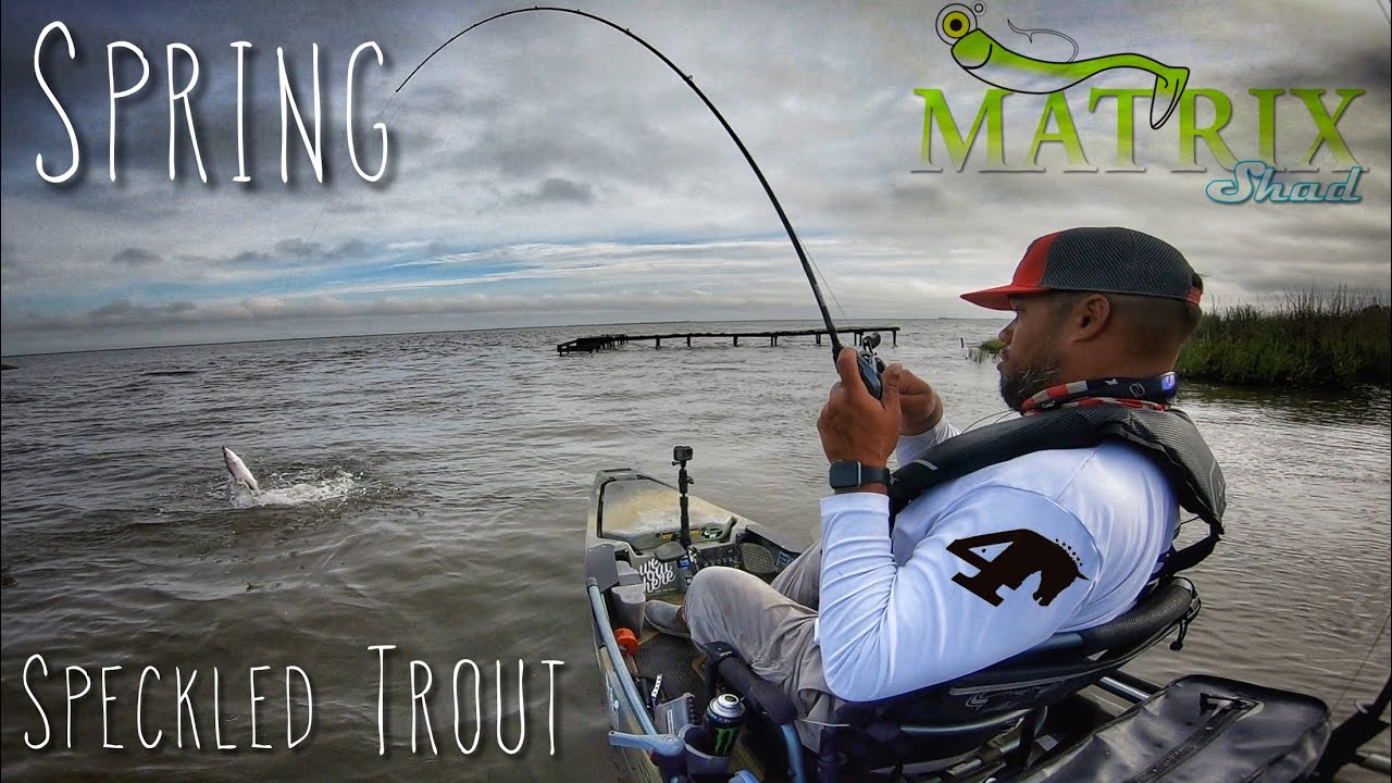 Spring Speckled Trout in Calcasieu Lake - YouTube