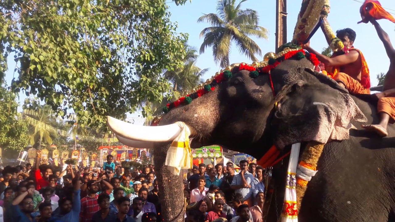 Pambadi Rajan Entry in chembuthra pooram 2017 - YouTube