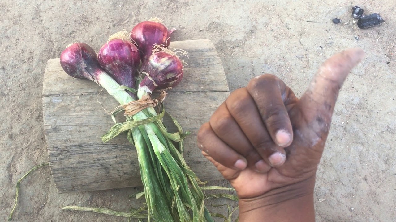 KITUNGUU MAJI NI DAWA KIBOKO(tafadhari Hii ni kiboko sana)👌 - YouTube