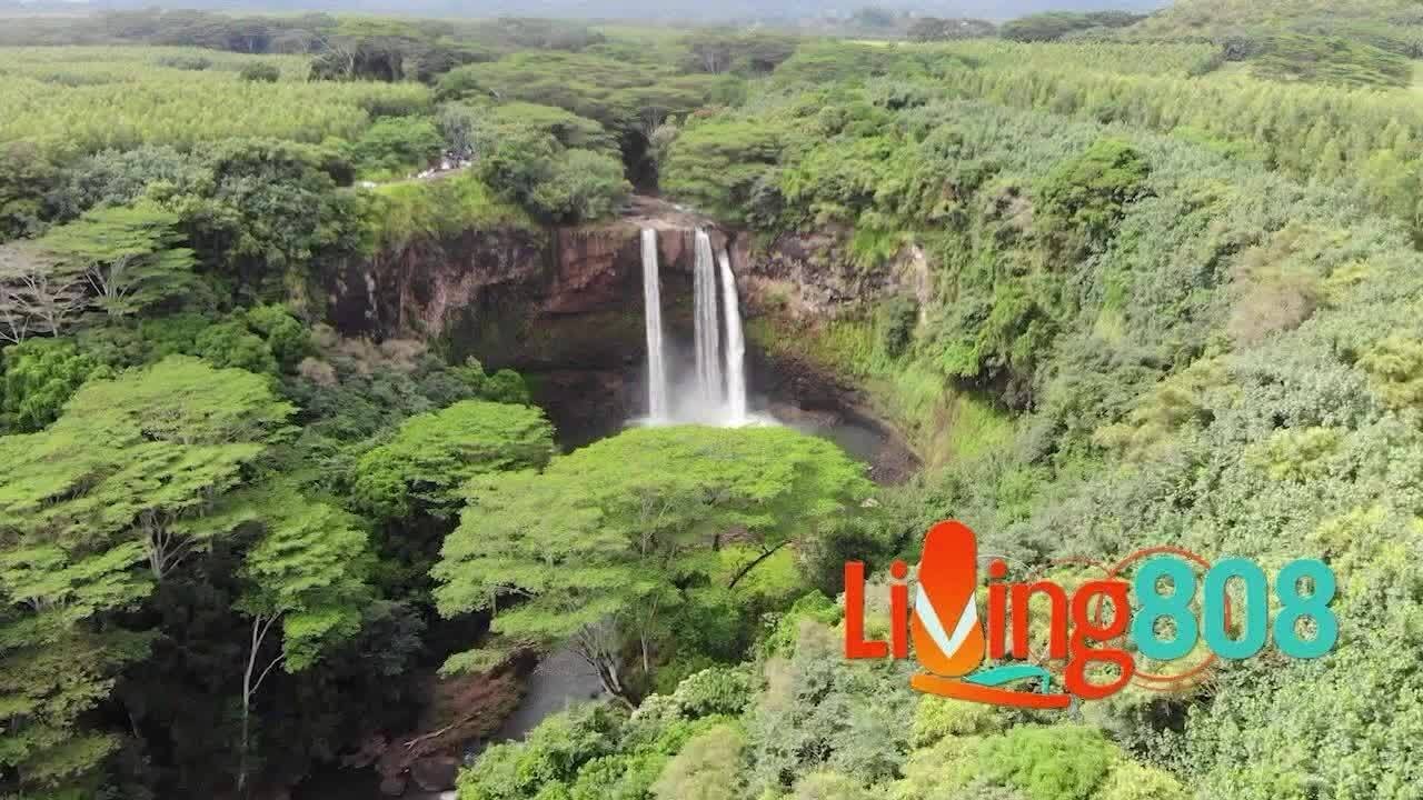 Non-Stop Travel Marks 40 Years with Exciting New Adventures and ...