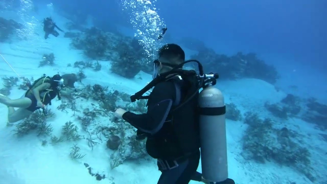 Santa Rosa Reef [Part 4] - YouTube