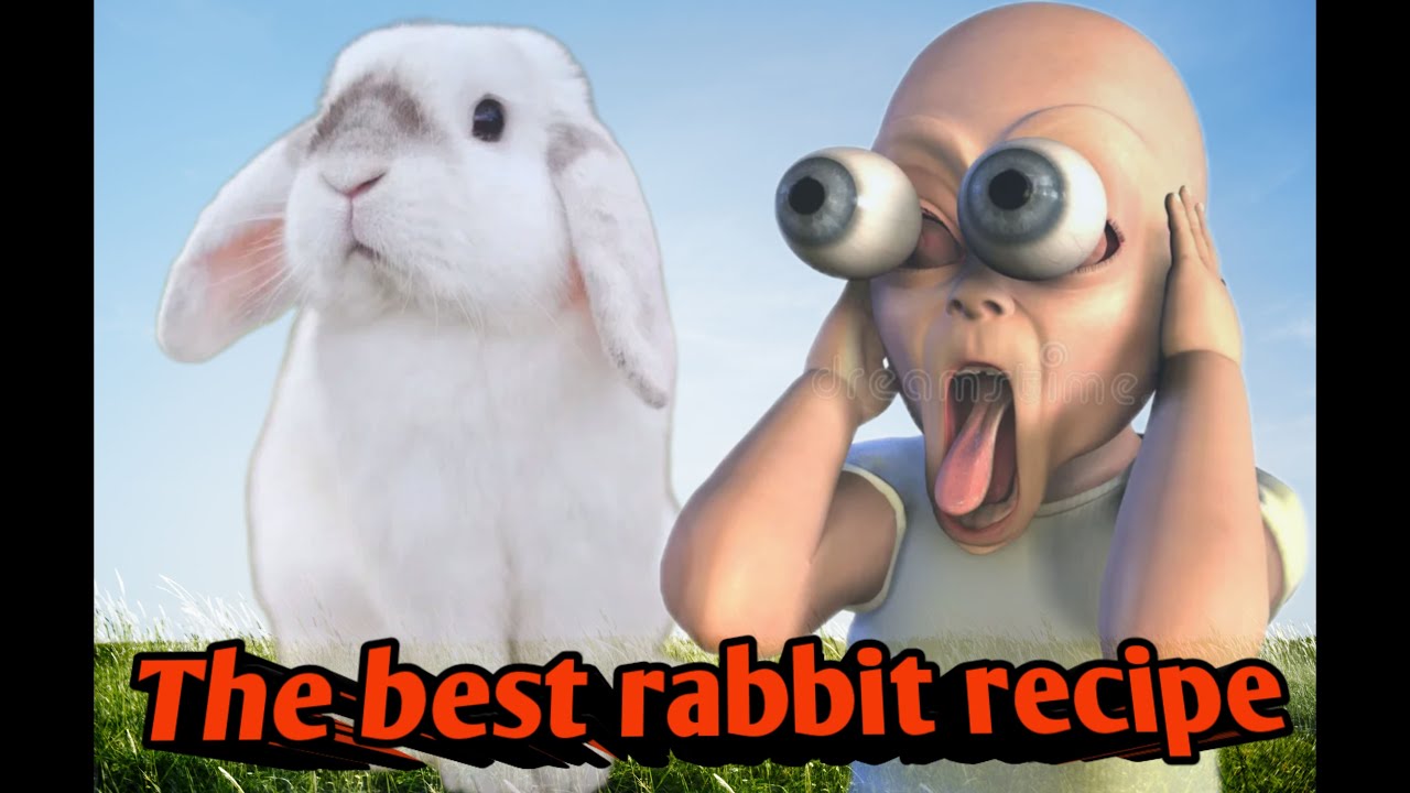 The best rabbit cooking recipe - YouTube