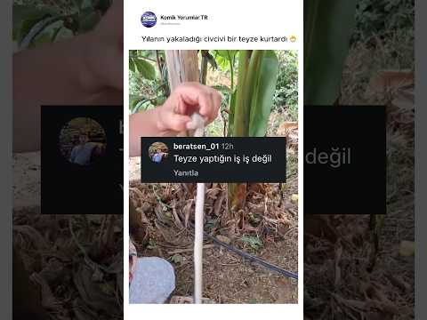 Teyzem sonda bombayı patlattı 😂