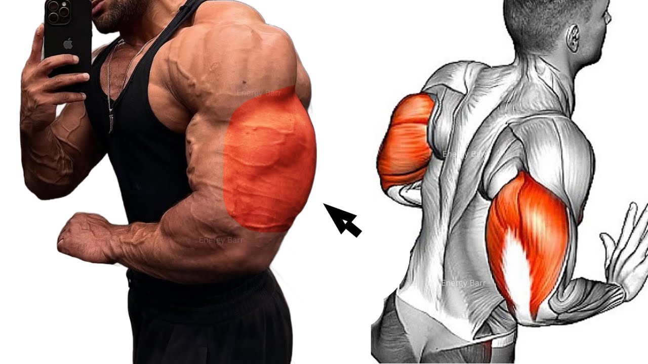 7 Best Triceps Exercises You Need to Try (Simple and Effective) - YouTube