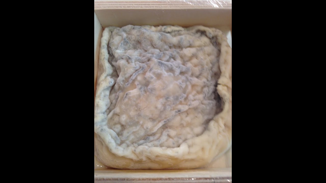 "Bonne Bouche" cheese from the Vermont Creamery - YouTube