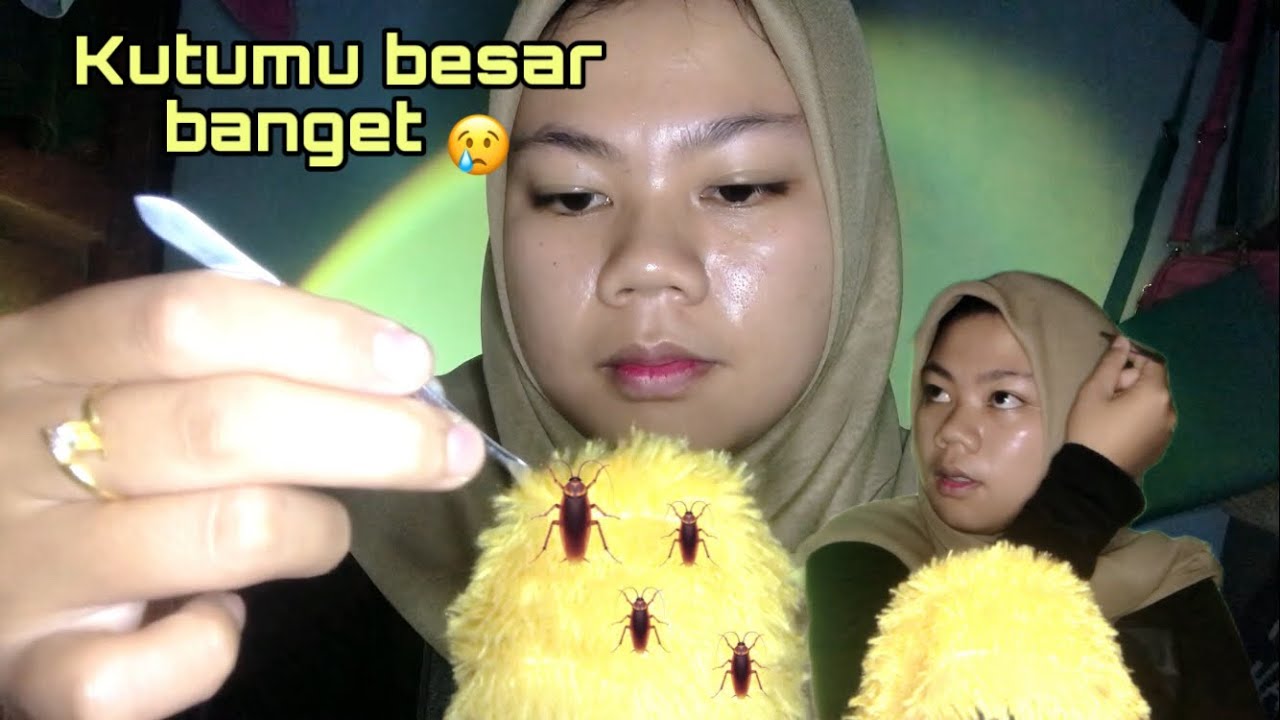ASMR CARI KUTU DI RAMBUT KUNINGMU (ASMR LOOKING FOR LICE IN YOUR YELLOW ...