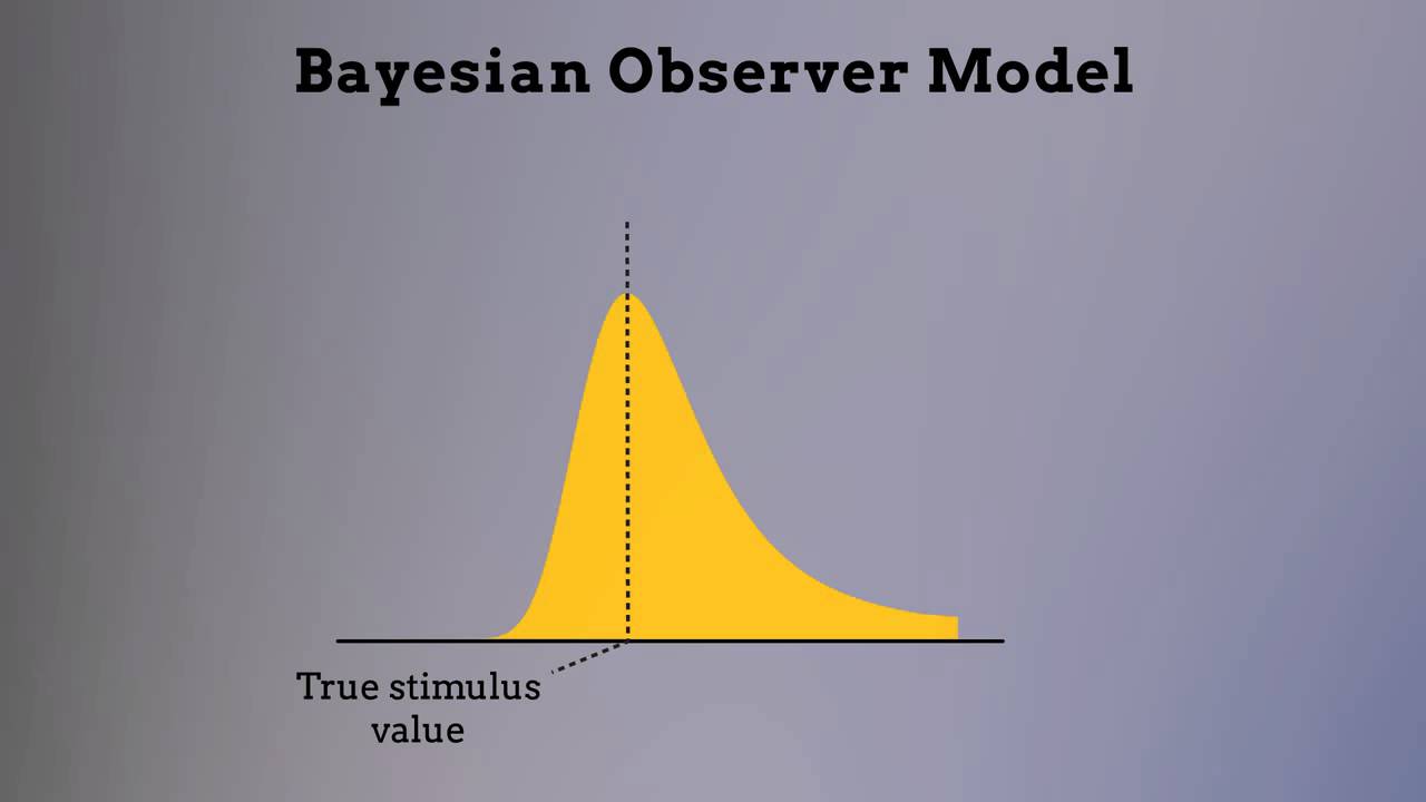 A Bayesian Observer Model Constrained By Efficient Coding Can Explain 2978