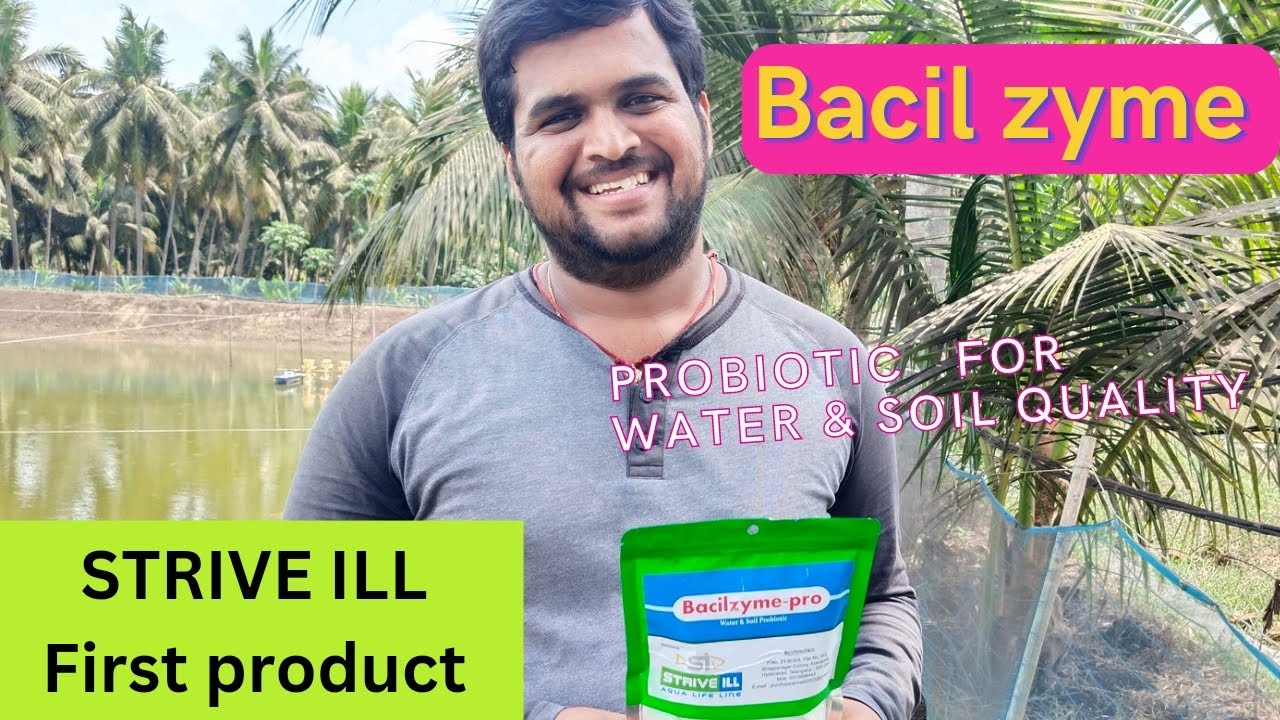 Bacil Zyme Pro (water & Soil quality) || Benefits || Farmer feed back || @Strive-ill#probiotics ...