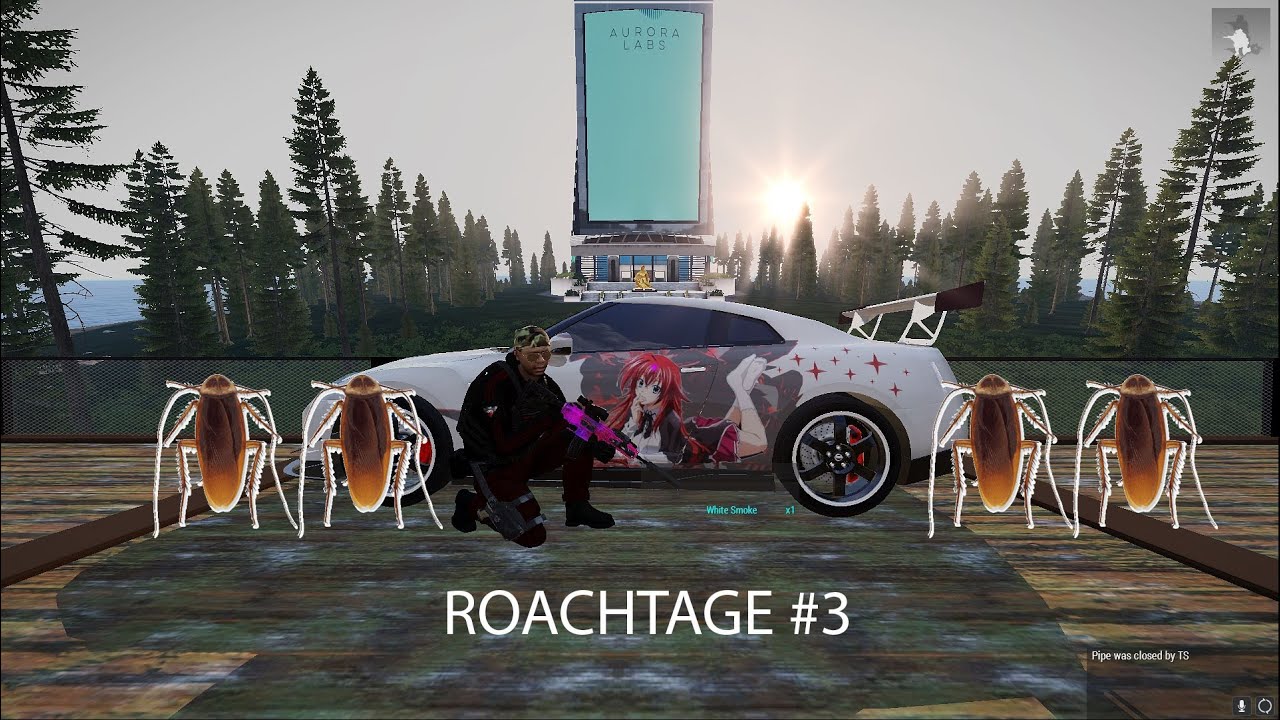 Anzus.Life #3 - Roachtage - YouTube