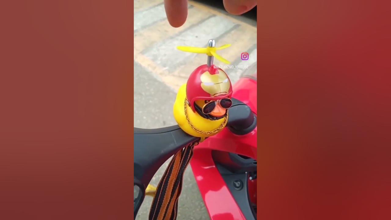 Мистер duck снова в деле,мото утка, мотоцикл с уткой,уточка на мото ...
