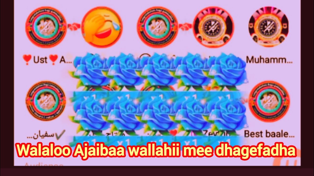 Walaloo Ajaibaa ergaa gudaa uf kessa qabdii - YouTube