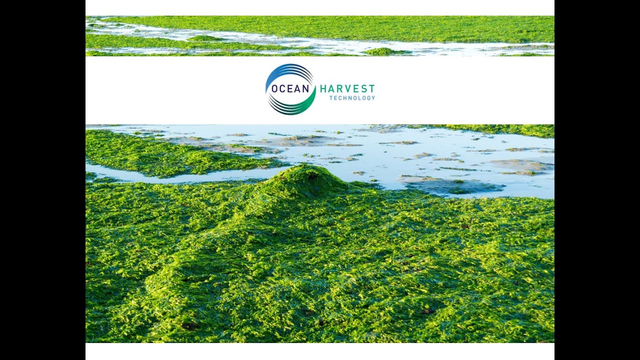 OCEAN HARVEST TECHNOLOGY GROUP PLC - Investor Presentation - YouTube